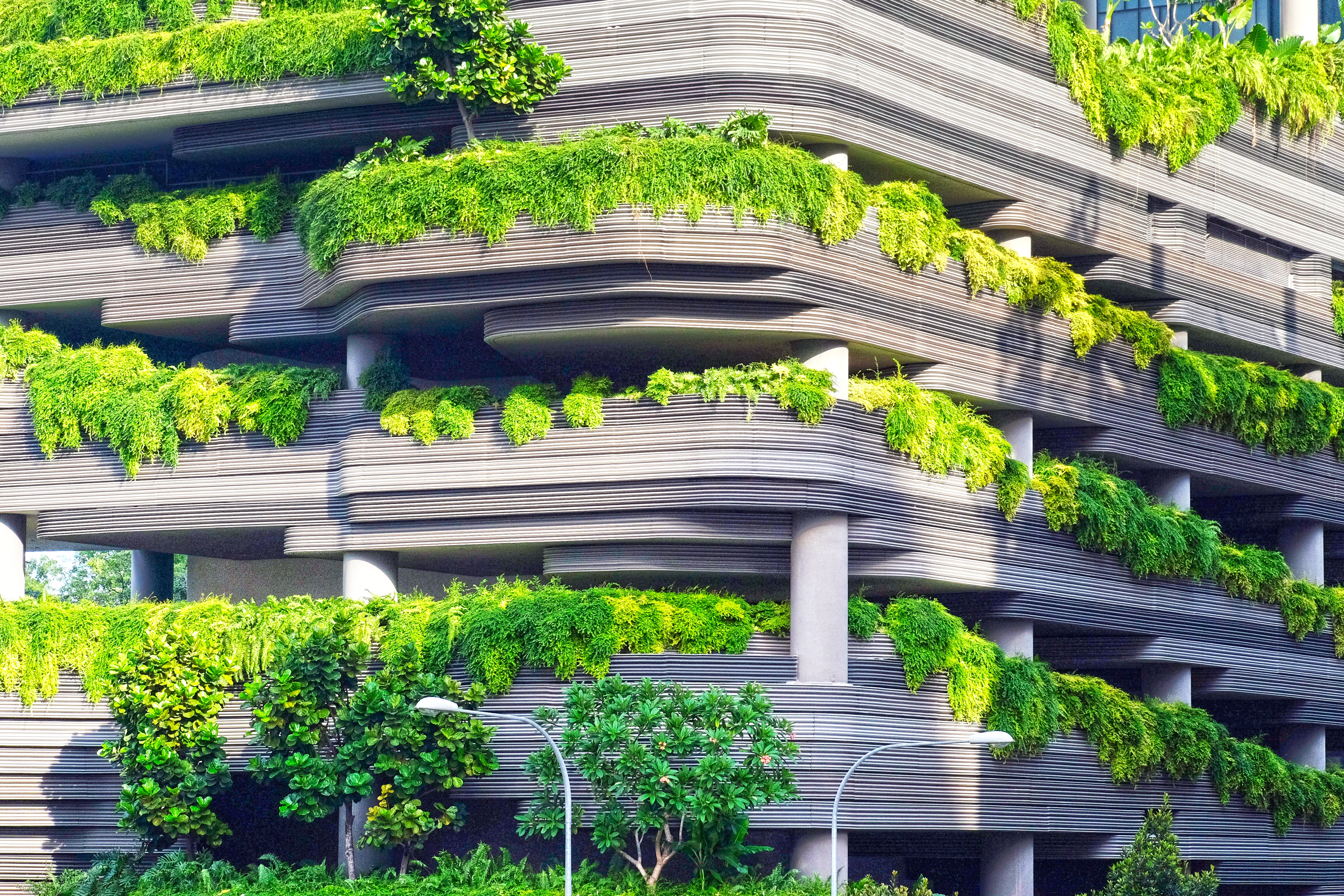 Architectural Approach to Software Development | MadeCurious